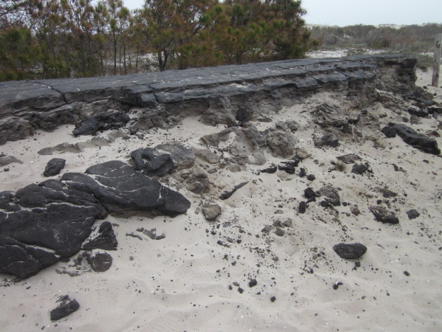 Today’s Top 10: Reasons to horse around on Assateague Island – Delco Times