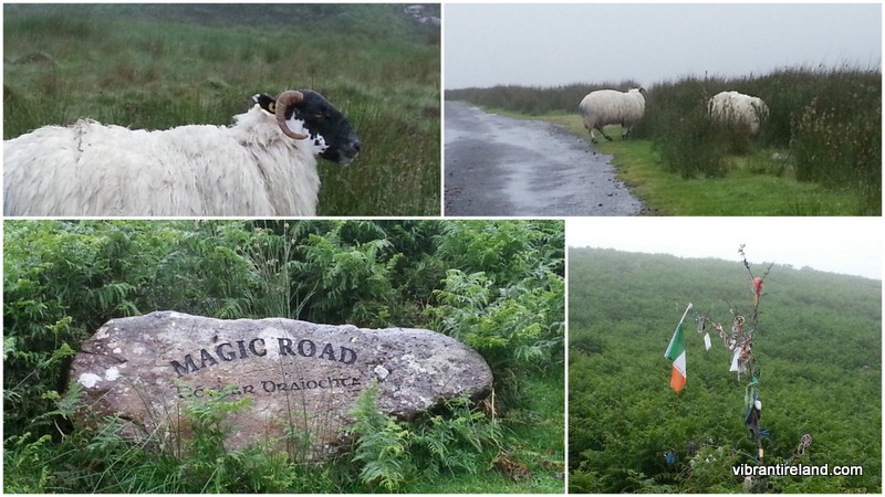 Vibrant Ireland!: Amazing, Fun! The Magic Road: What To Do in Ireland