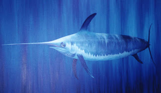 Swordfish ~ Aquatic Animals