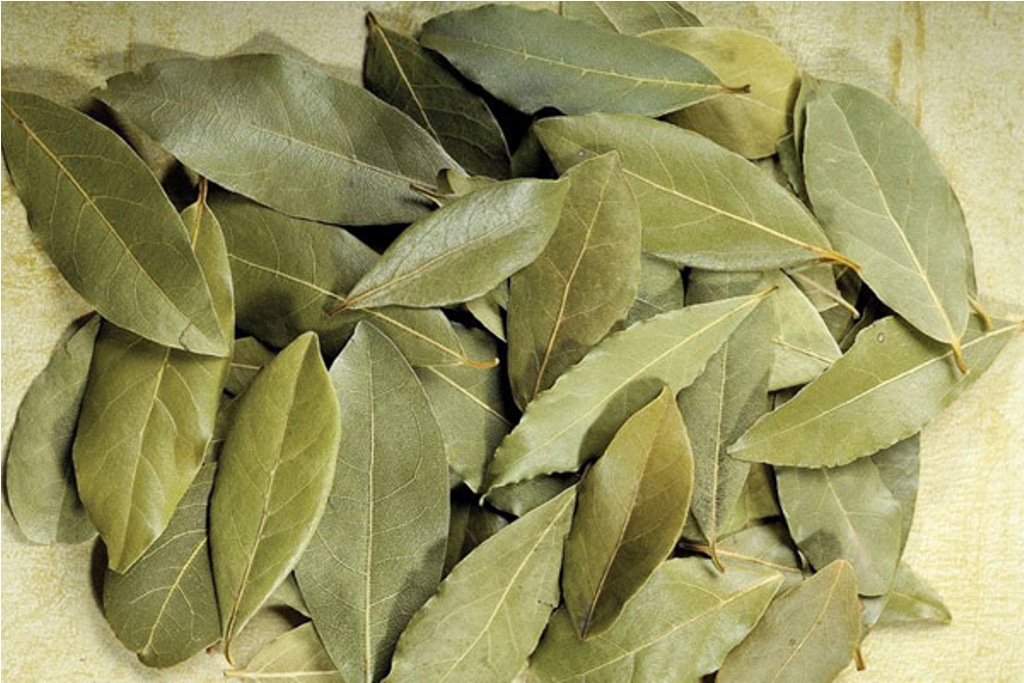 BERAGAM MANFAAT DAN KEGUNAAN: MANFAAT DAN KANDUNGAN DAUN SALAM (Tejpatta)