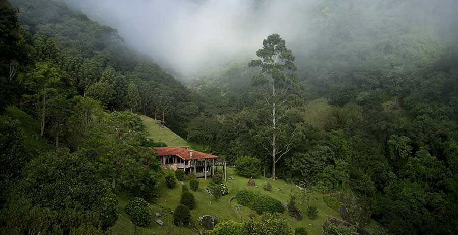 TRIBARTE: Saiba como usar corretamente “cujo” e “cuja”