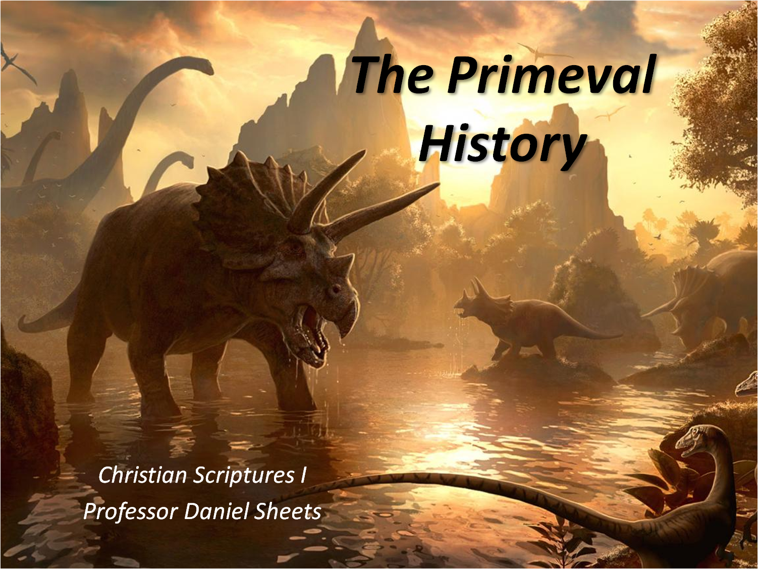 Contemplatives in the World: Lecture Three: The Primeval History