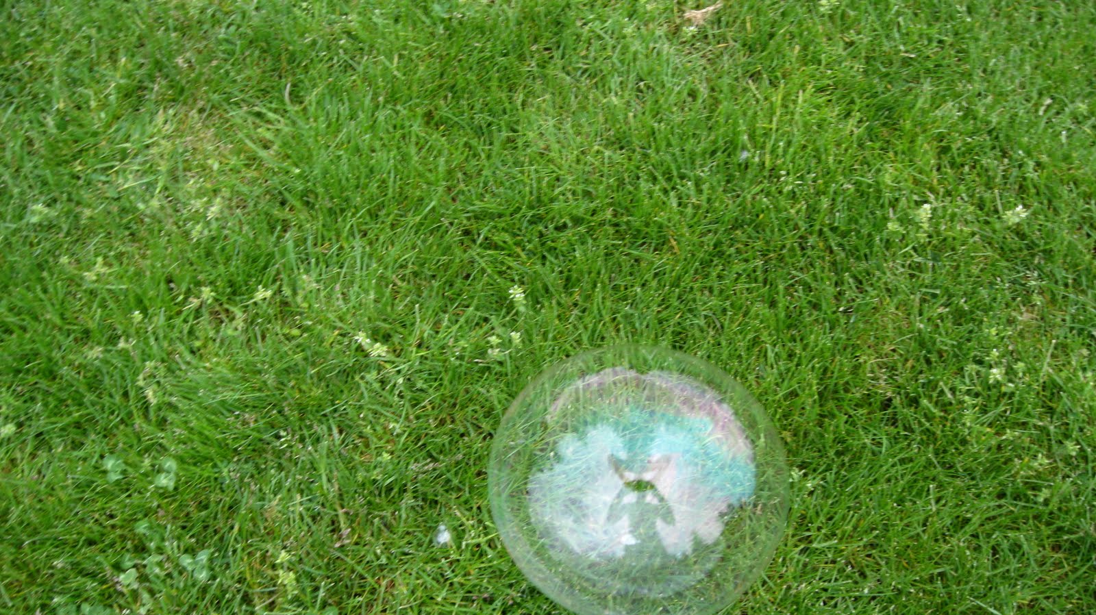 Johnny's Photography: Forced Perspective / Miniatures / Bubbles