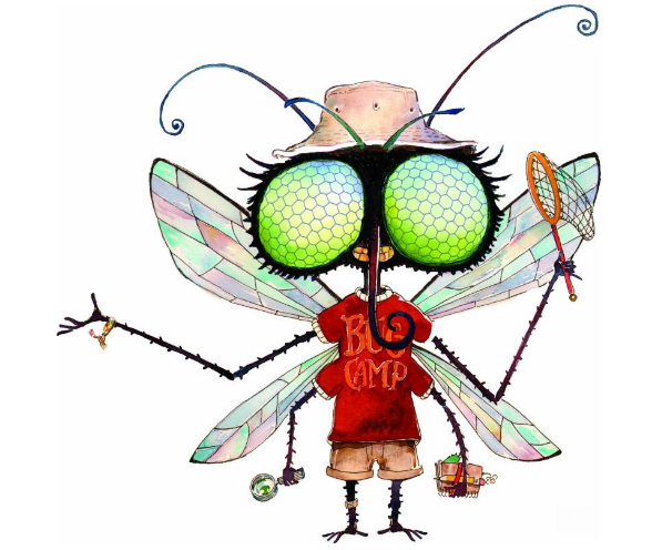 Mommy Maestra: Bug Camp 2017