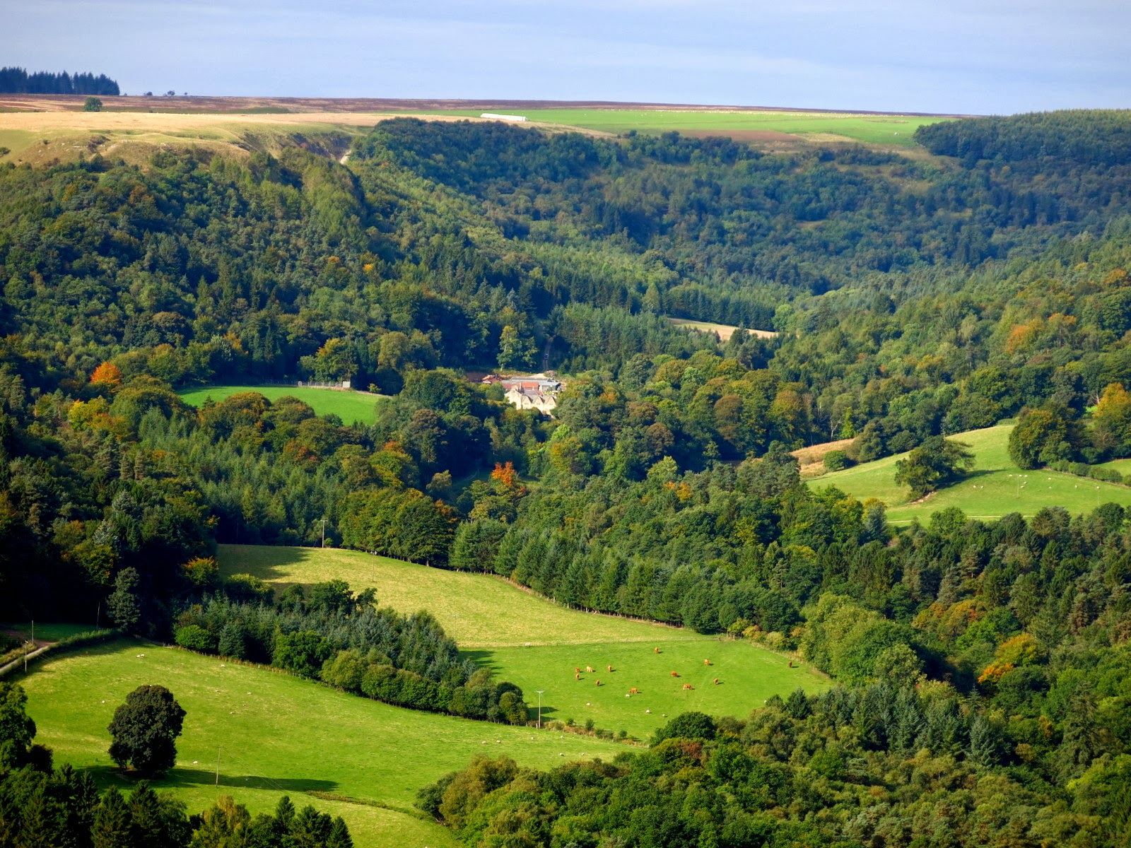 Walking in North Yorkshire