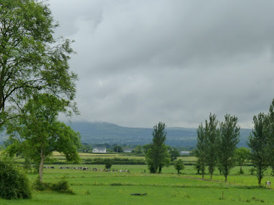 The Road Goes Ever On: Kilduff Castle; And So Much More