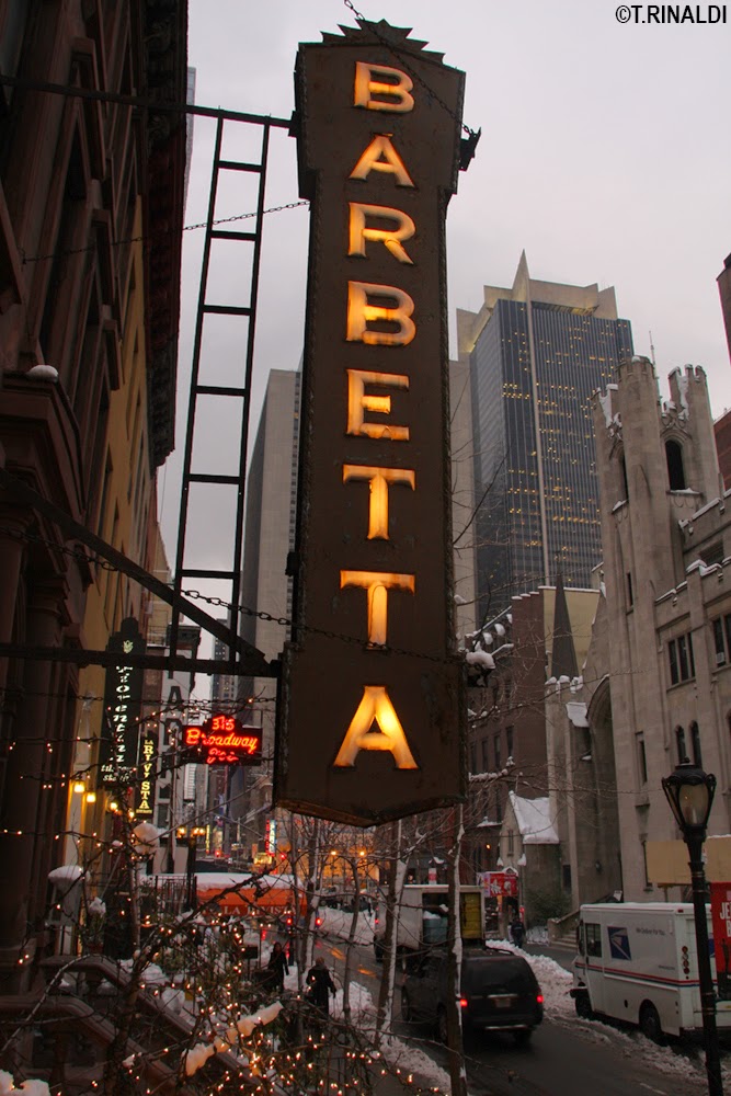 New York Neon: Seagulls on 38th Street