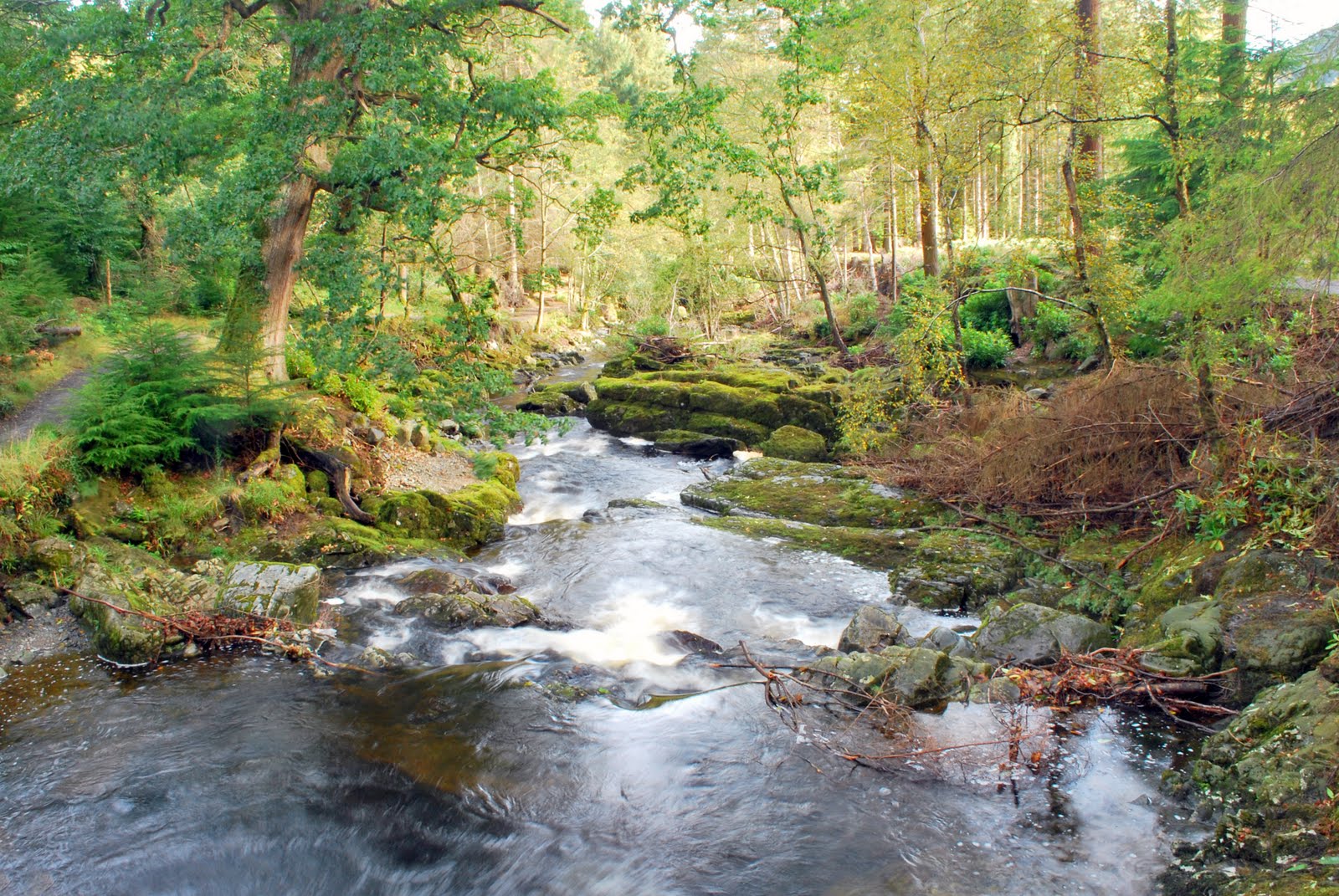 Elwood Prints Photography: Tollymore Forest Park