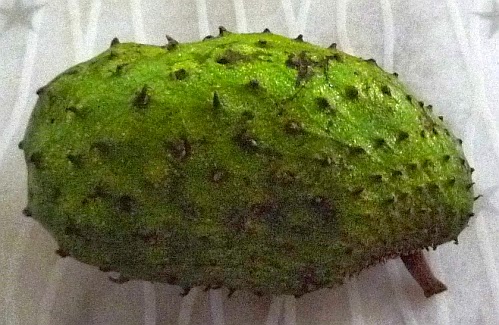 (Eat to Live) or (Live to Eat): Soursop