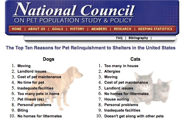 The Shelter Girl: Be The Change - Pet Relinquishment