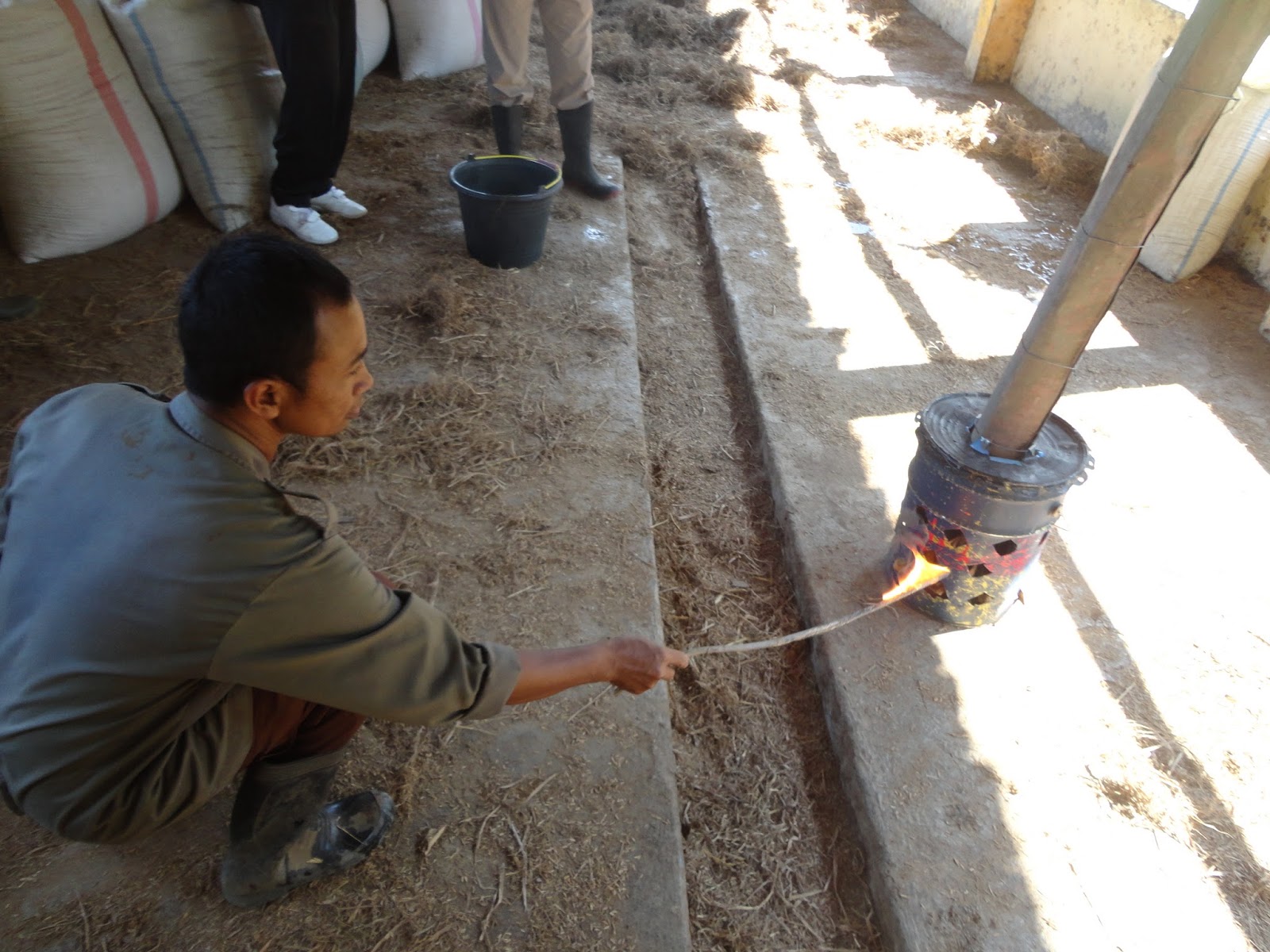 Jejak Penyuluh: Cara Membuat Arang Sekam