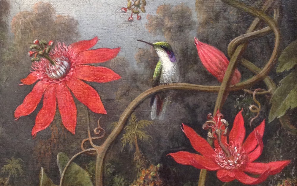 Arteeblog: Orquídeas e beija-flores - a arte tropical de Martin Johnson ...