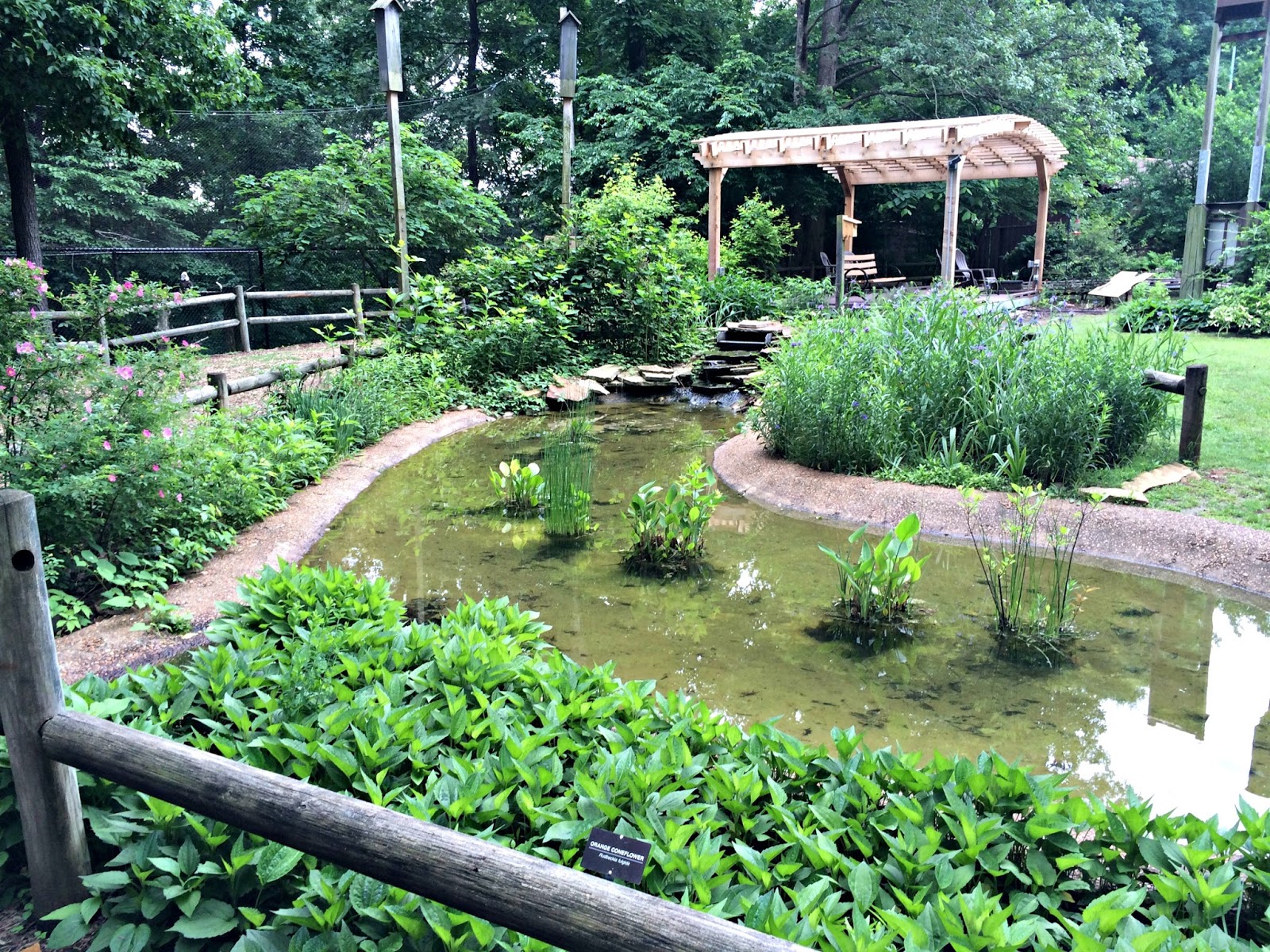 We Would Rather Be Camping!: Nature Station at Land Between The Lakes