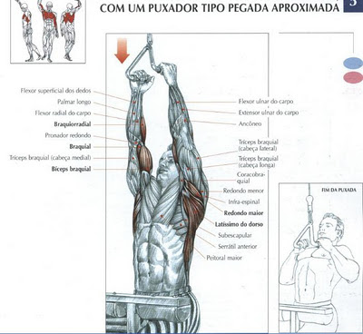 Cinara Polido: DORSAIS - BACK