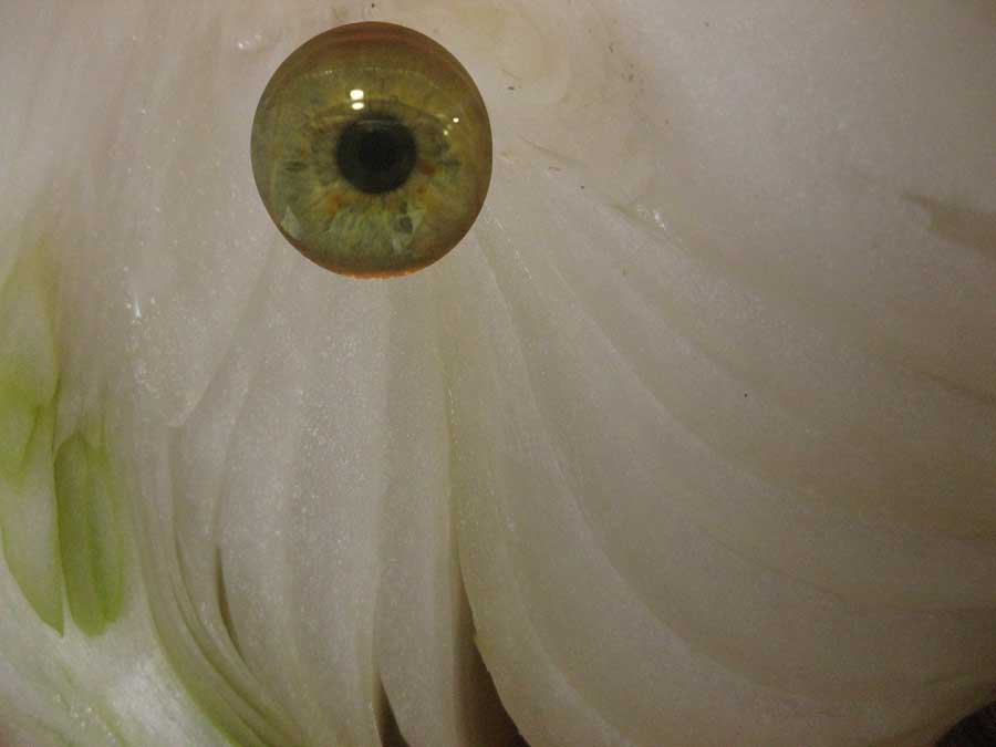 What Do I Know?: Onions and Contact Lenses