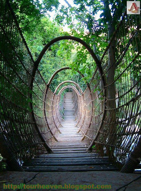 Amazing Spider Bridge in Sun City Resort South Africa