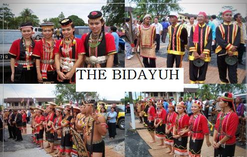 Cats City Hornbill Land: THE BIDAYUH..... who so enchanted the first ...