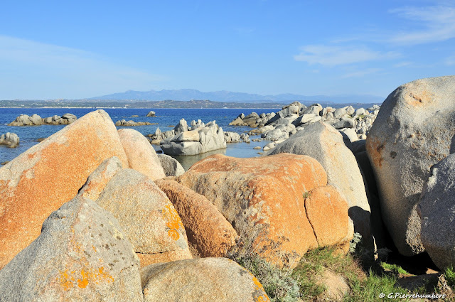 Jo - Photographe: Les Îles LAVEZZI et CAVALLO
