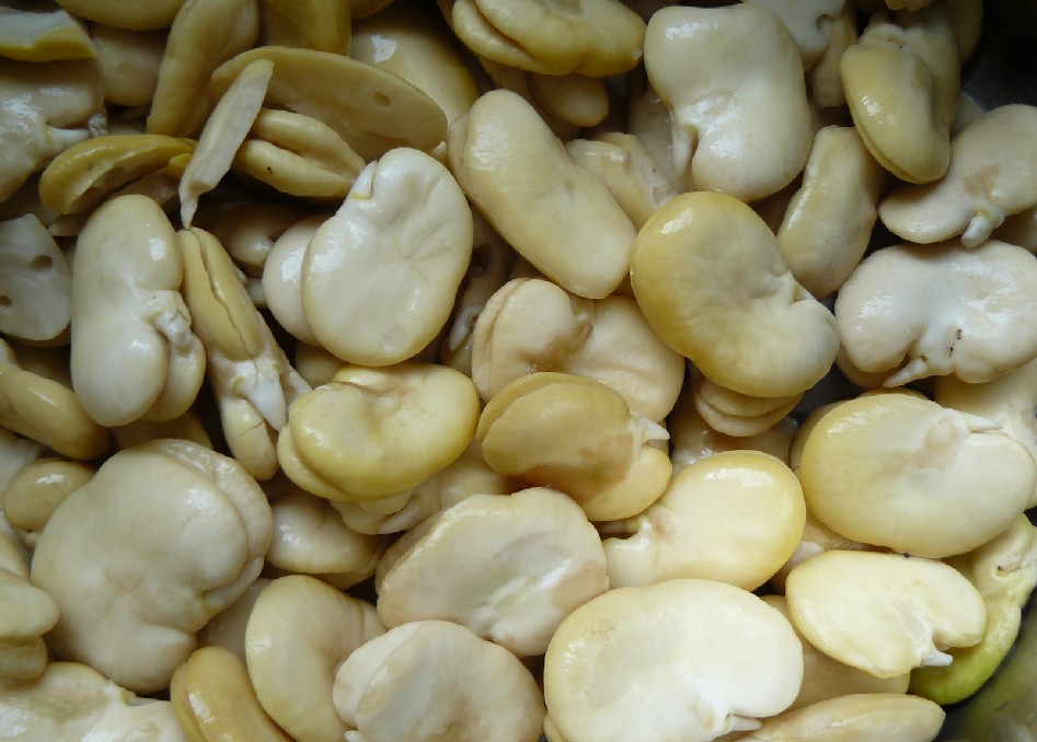 Outras Comidas: Fava Rica