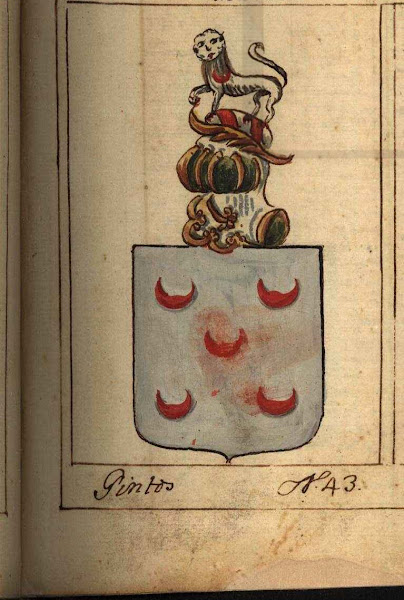 A queda da TORRE DE CHÃ - Solar medieval da família PINTO: ORIGEM DO ...