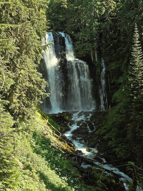 WESTERN OREGON: LINTON FALLS