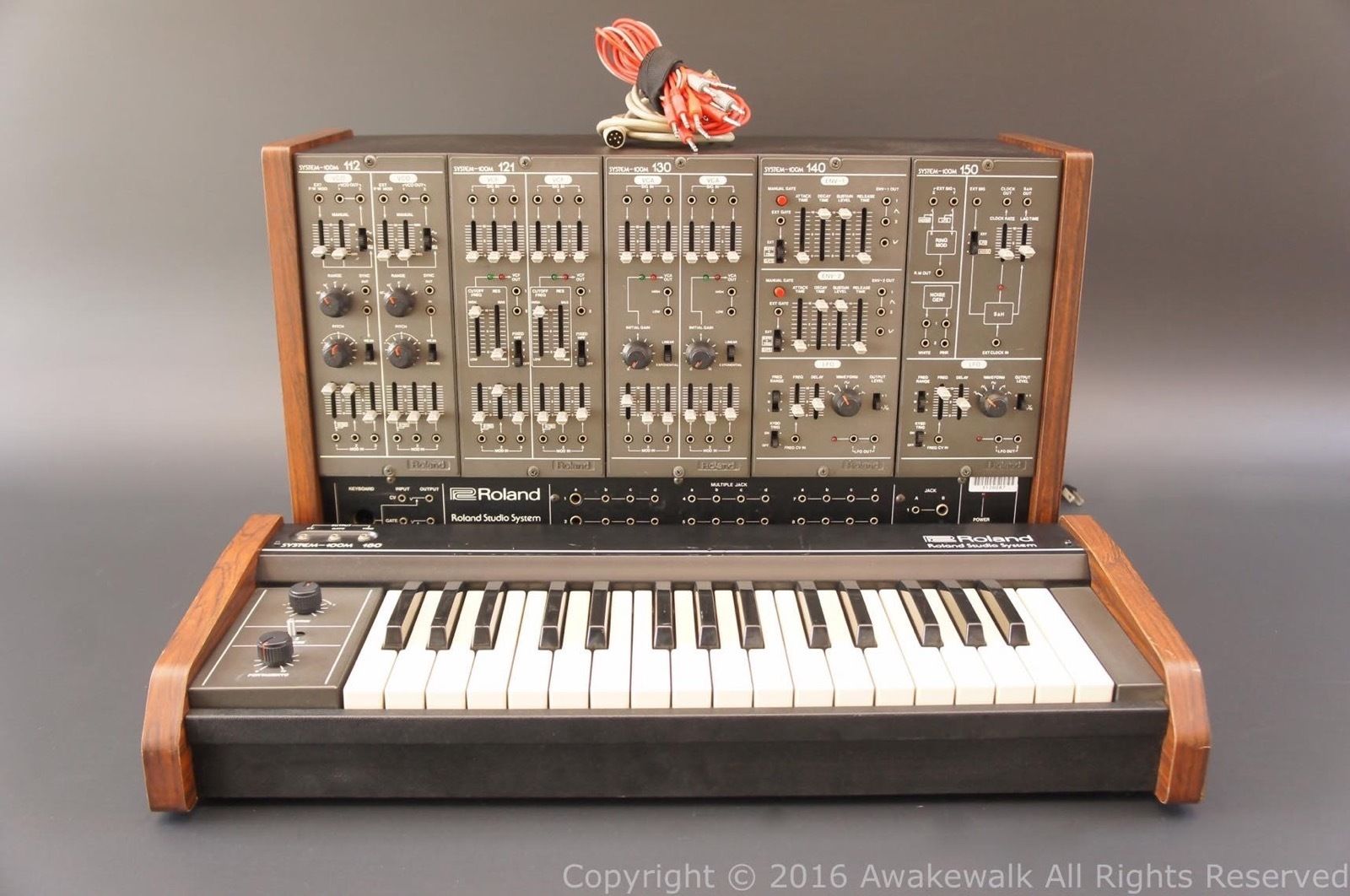 MATRIXSYNTH: Roland Vintage System-100m D-set Plus 32 Keys