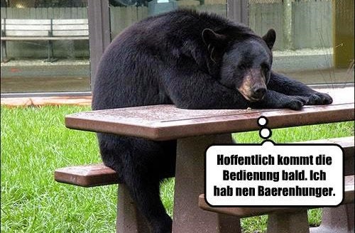 Free German: Deutsch lernen kostenlos: 15 ways to say I am hungry in German