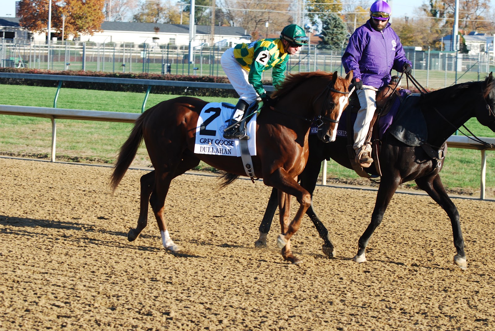 Taking a Look At Emerging Blue Hen Mare Mining My Own