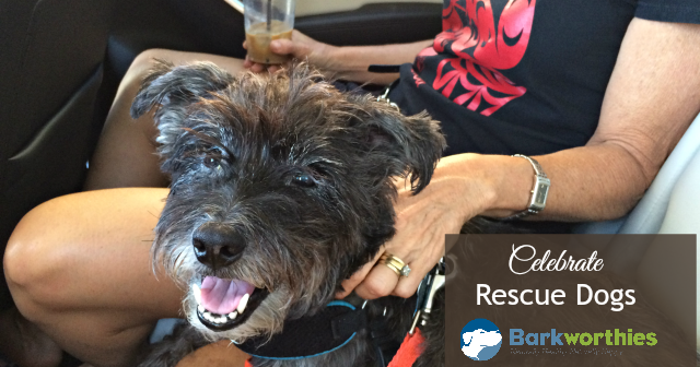 It's Time Again to Chews Rescue #Barkworthies | Oz the Terrier ...