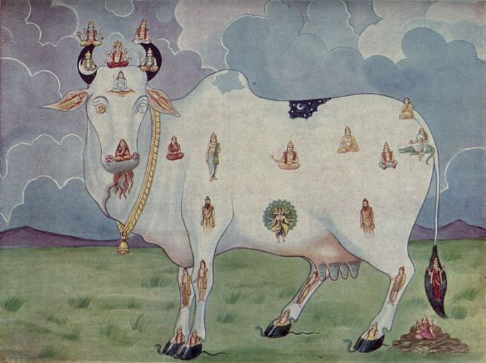 Laxmi Vishnu: Bull Cow