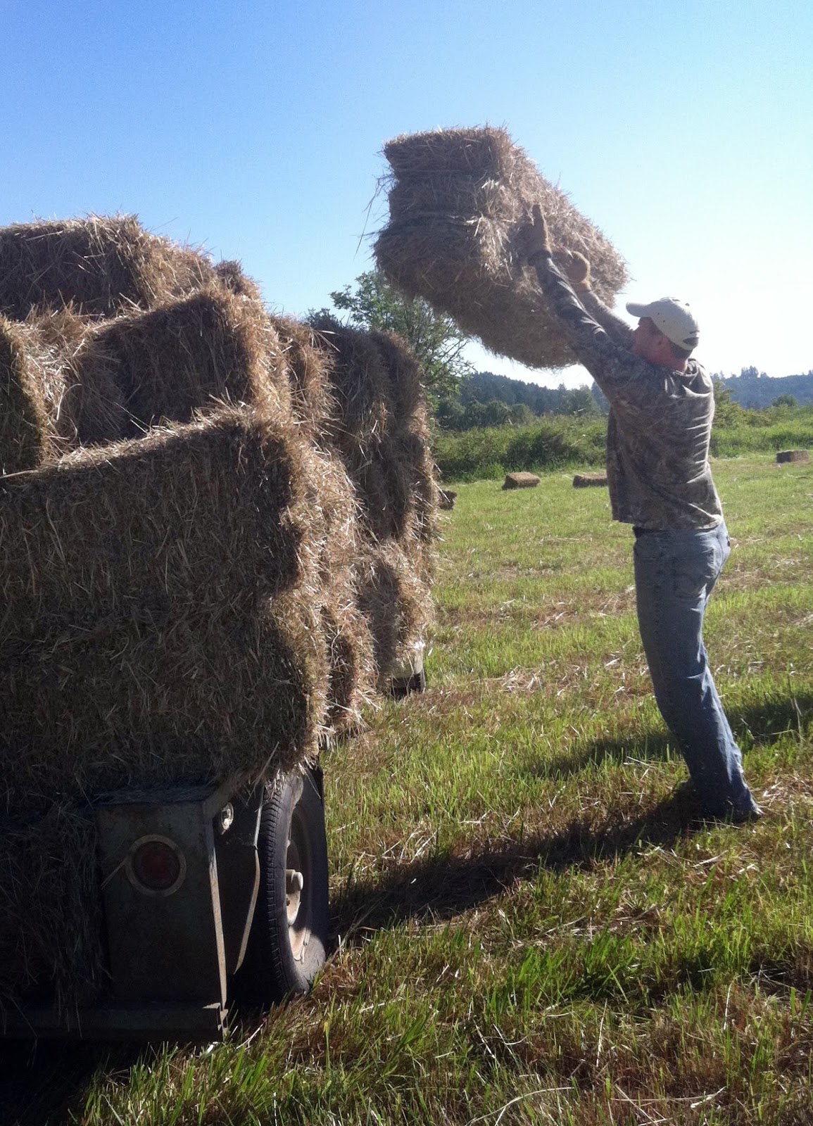 Farm Blog: what does kempo have to do with hay????