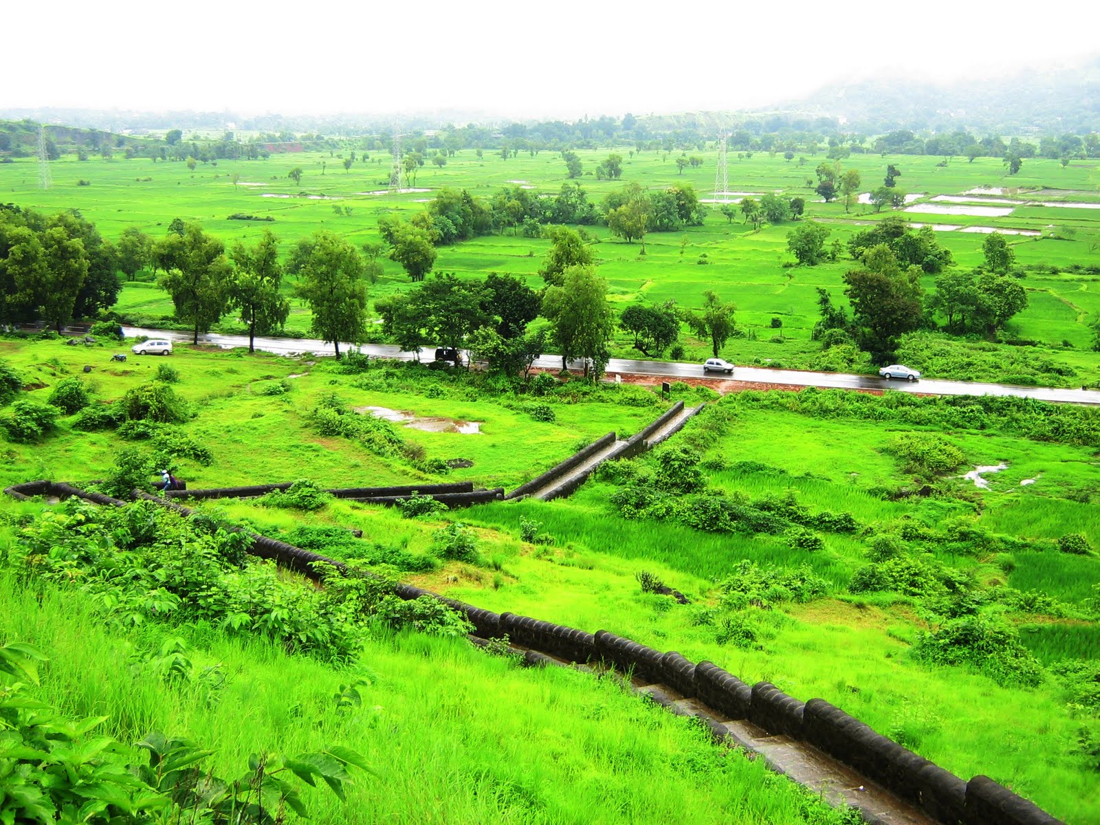 Travelz Unlimited: Gandhar Pale Cave, Mahad : A Photo Feature