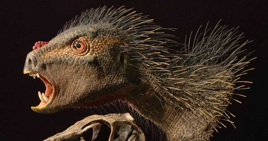 EL JOVE PALEONTÒLEG: Els Ornitòpodes: els Fabrosàurids i els ...