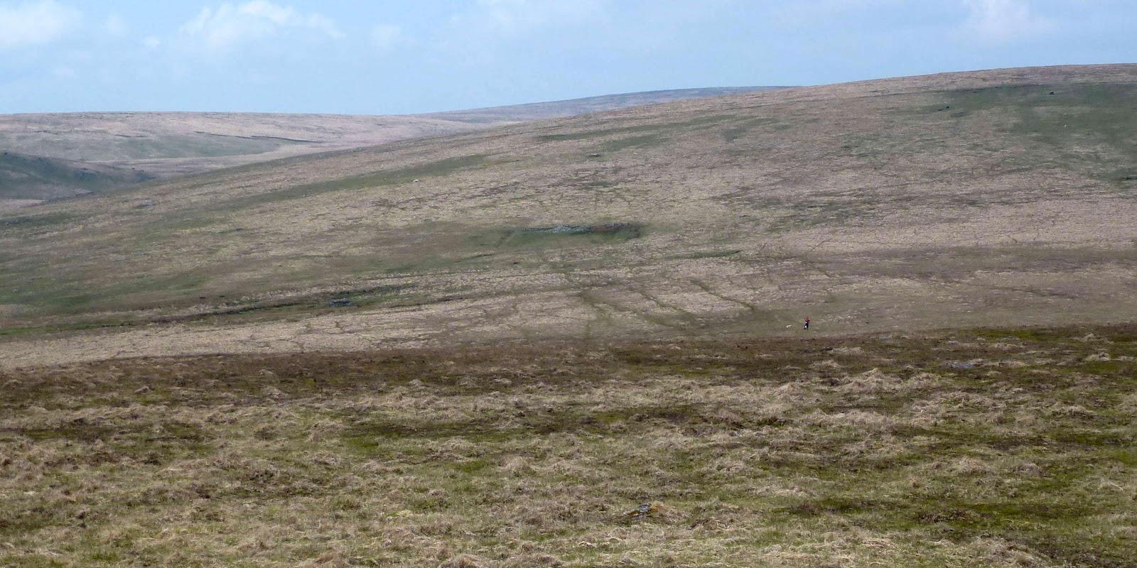 My Dartmoor Walks: Sunday 20th May Crow Tor
