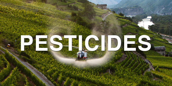 INRAA VEILLE SCIENTIFIQUE: Les coûts cachés des pesticides
