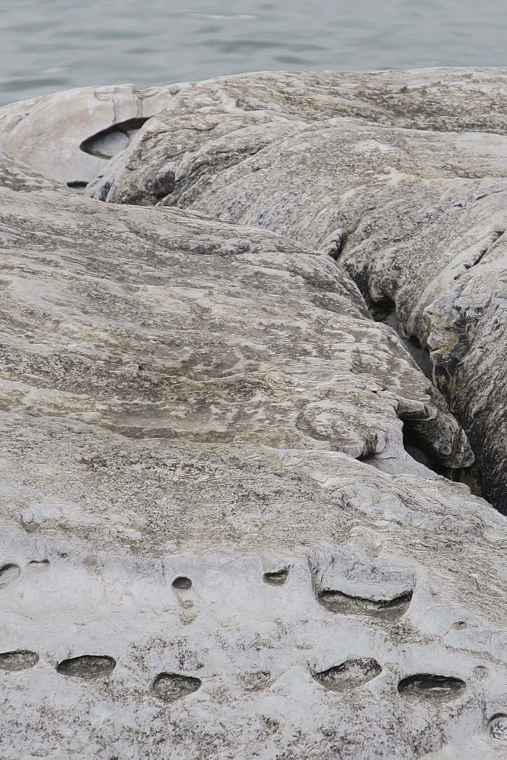 Tanglewood Threads: A Whole Lotta Rocks and a Grateful Heart