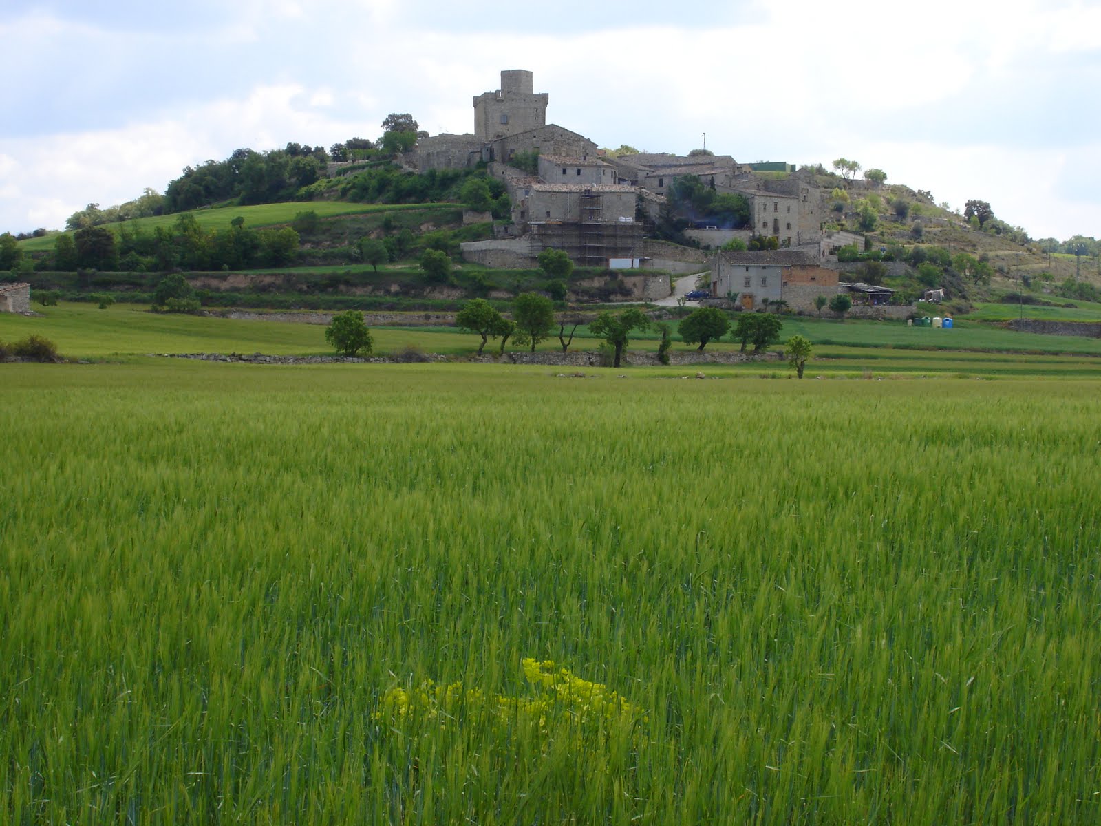n e m f e n t !: Castells de la Segarra en BTT