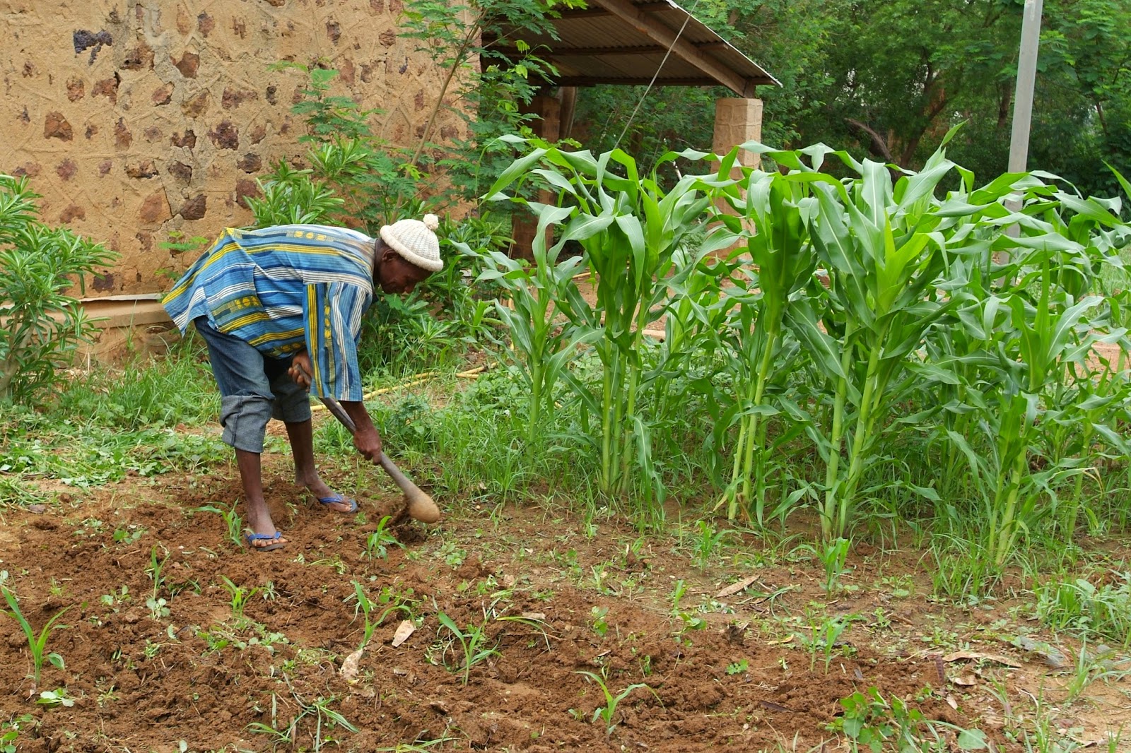 Krista's Galmi Adventure: Facts about Niger and the Galmi Hospital