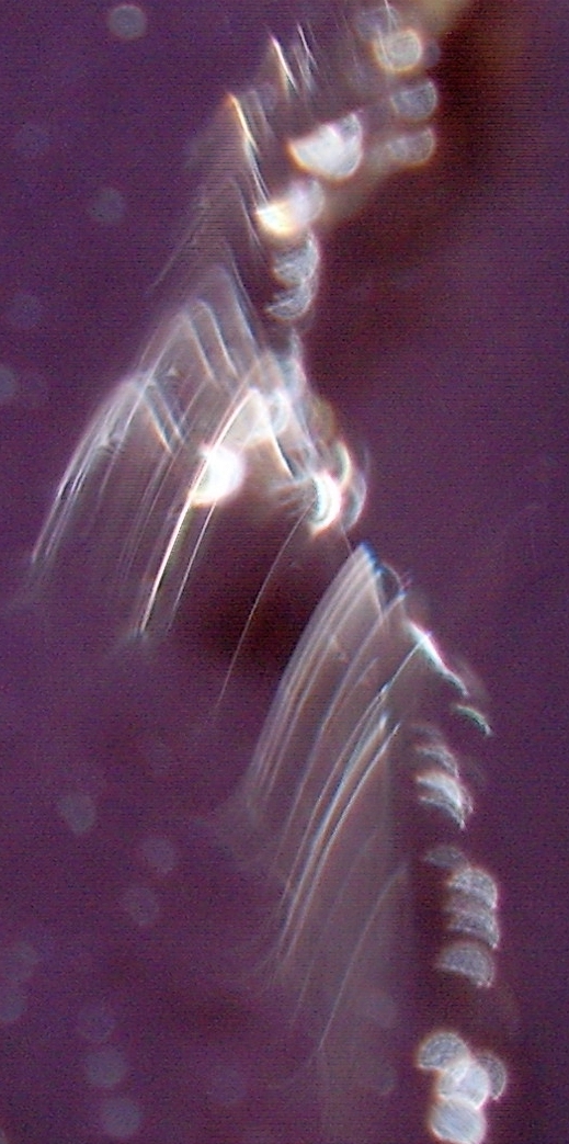 Orb Pro: Column of Mysterious Triangles Meets Column of Mysterious ...