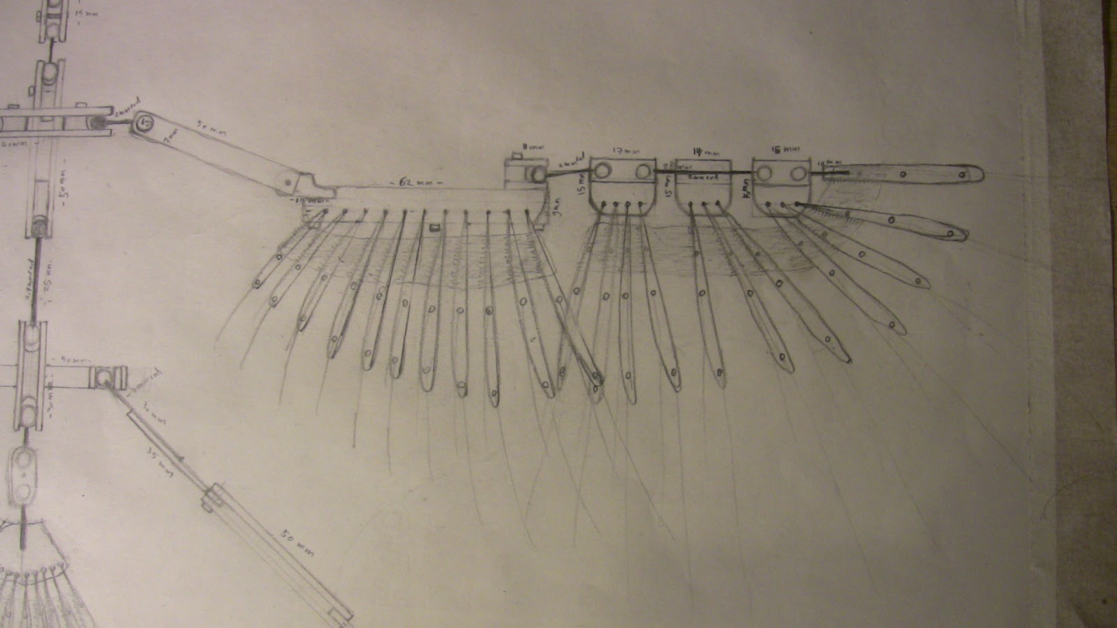 making a bird armature