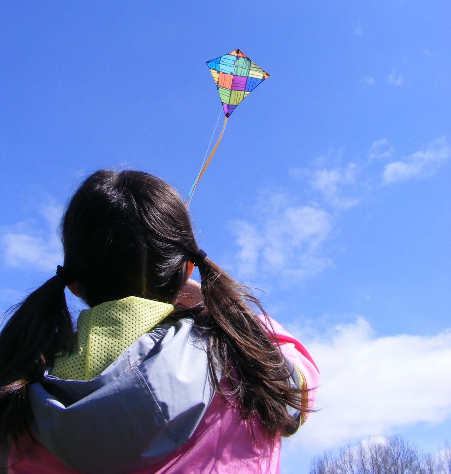 Ten kids and a Dog: Beat the Doldrums....Day 9...Let's Go Fly a Kite