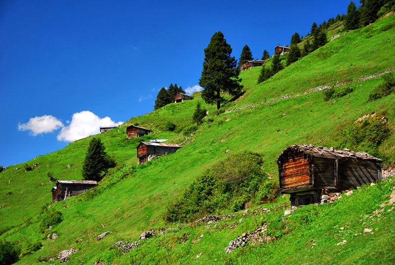 Yürüyüs ve Bisiklet Rotaları: RiZE YAYLALARI