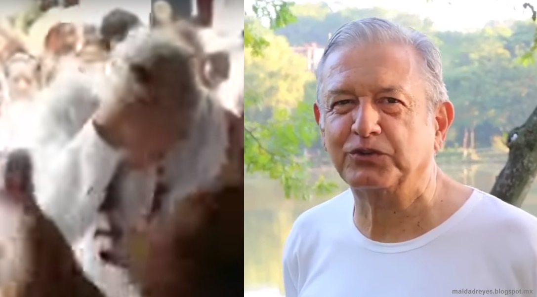BLOG DEL MALDAD: Huevazos a AMLO BLOG DEL MALDAD: Huevazos a AMLO