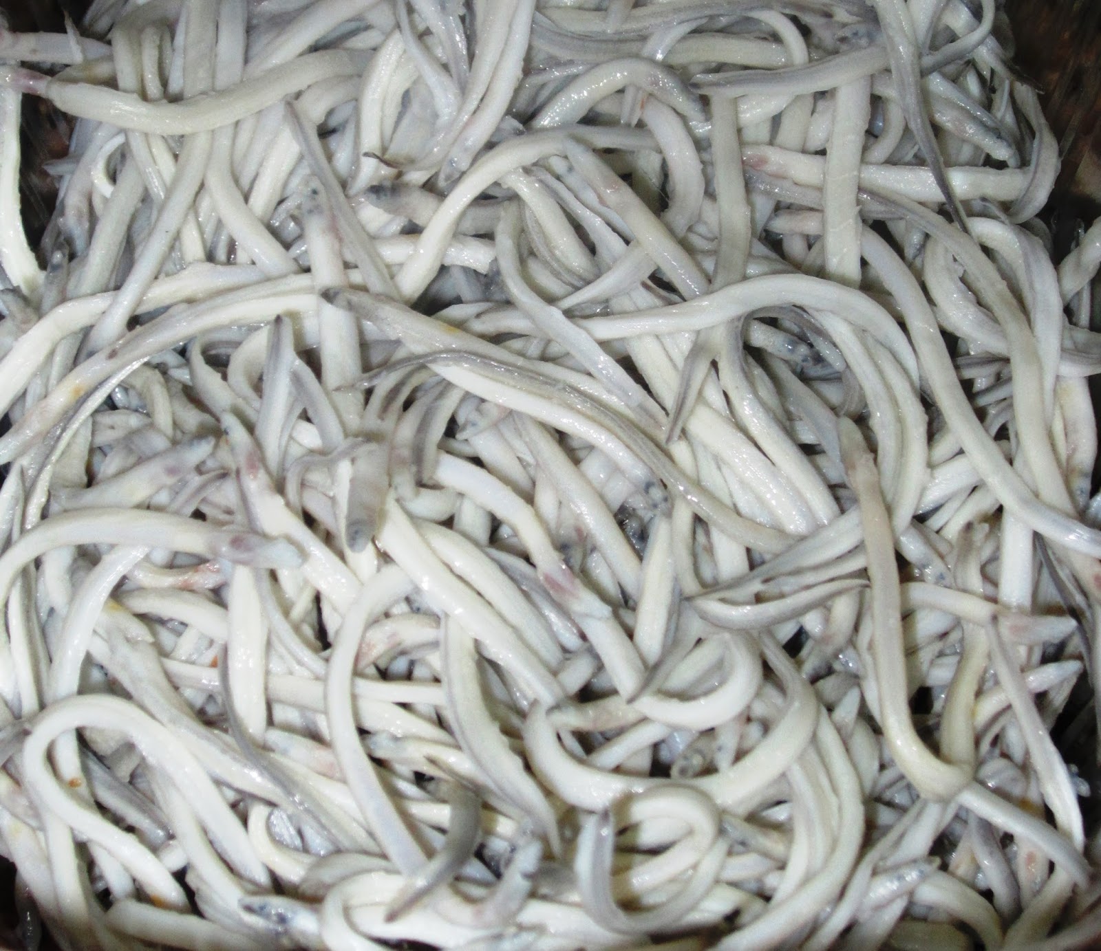 El rincón de Mundín: FIESTA DE LA ANGULA XXXI EDICIÓN: SOTO DEL BARCO ...