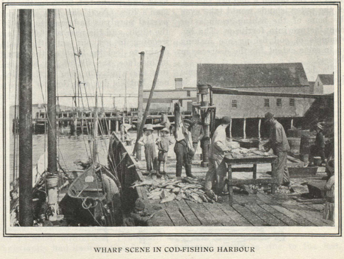 From Stillwater: With The Cod Fishermen