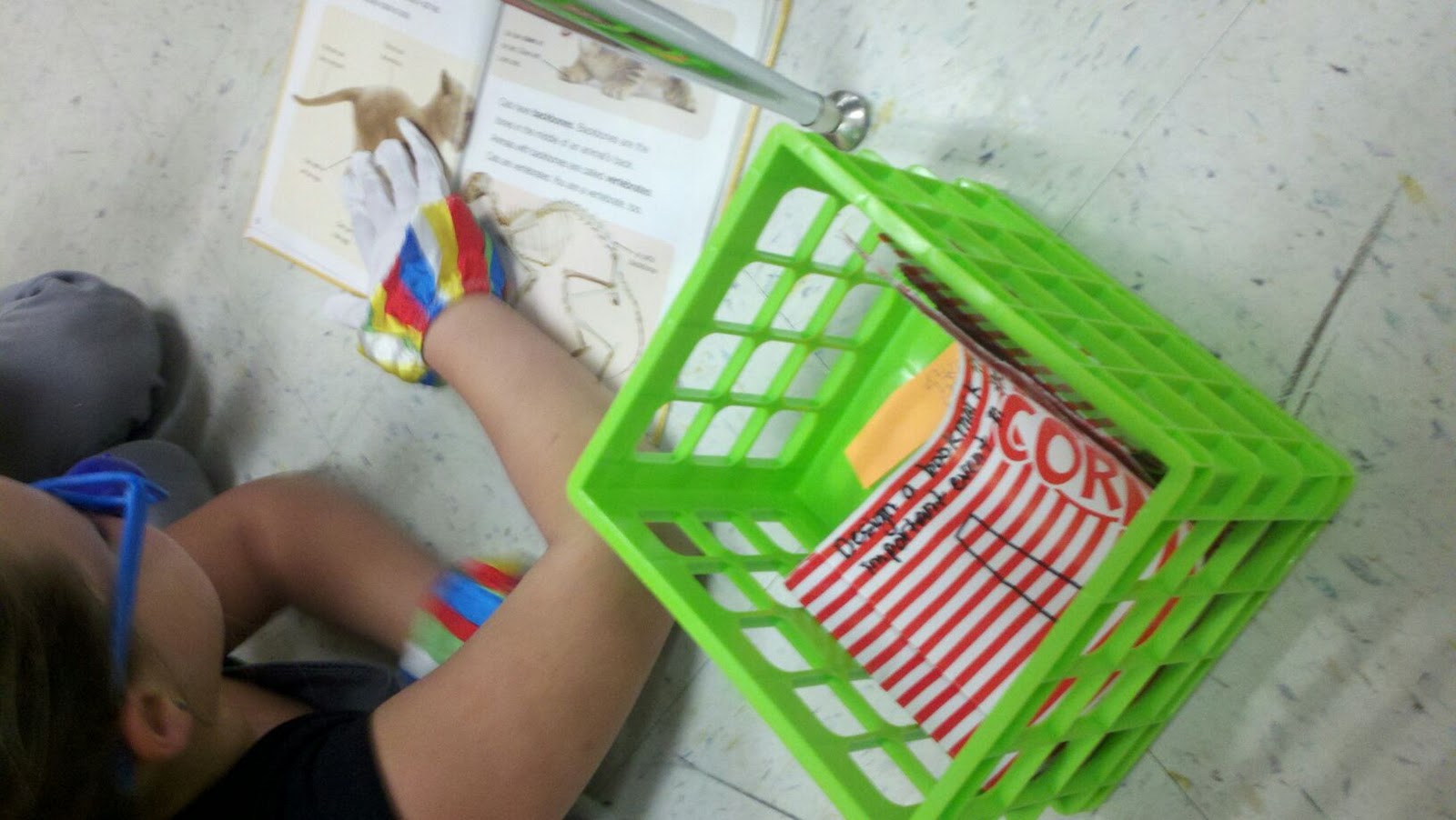 McElhinny's Center Stage: Reading at the Circus