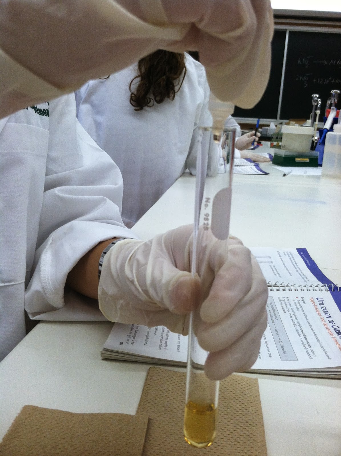 Rose & Lindsey's Medical Microbiology Blog: Methyl Red Test and Voges ...