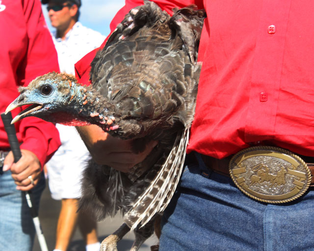 Classy Texas: Classy Texas Festivals and Events