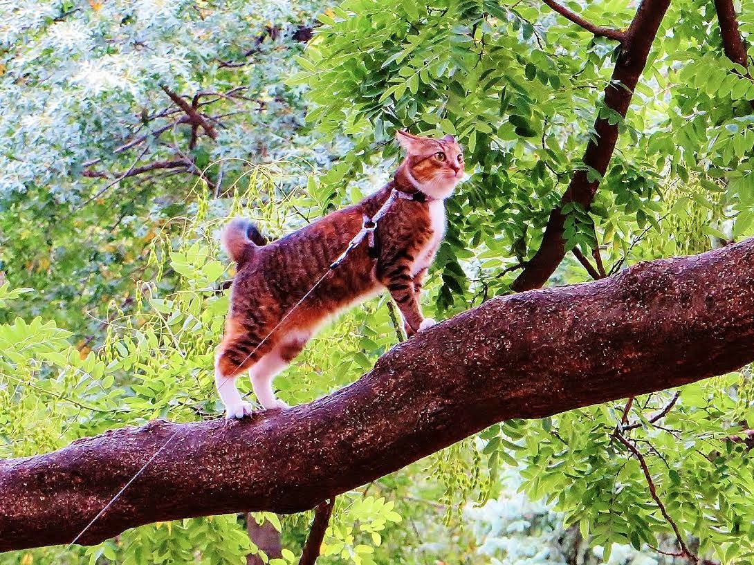 EV Grieve: East Village in images, 2014 (Part 2)