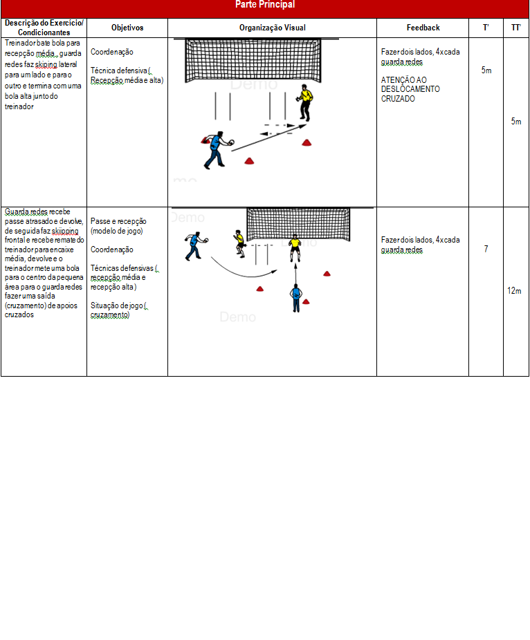 João Carvalho Treinador Guarda Redes: Planeamento Treino